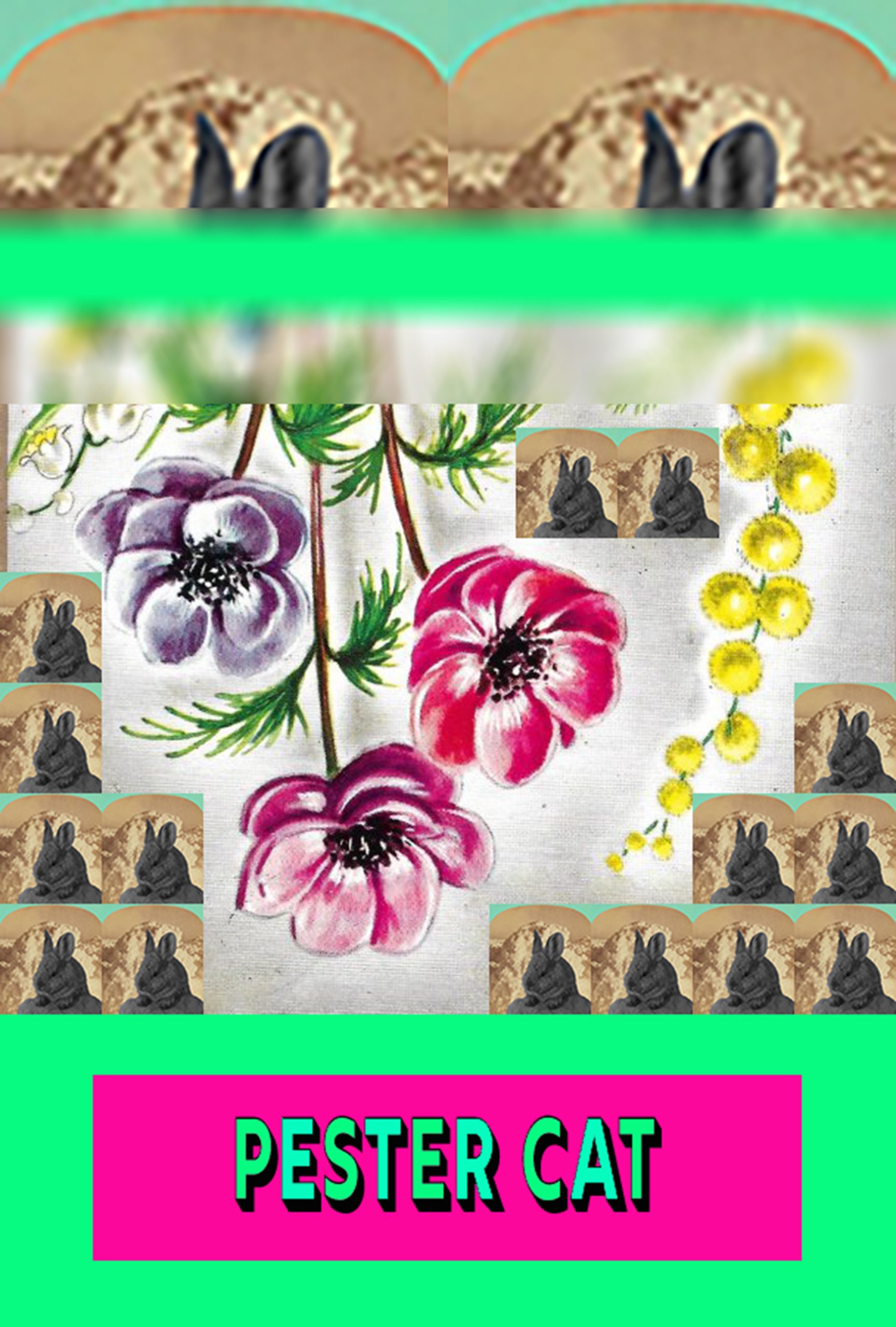 Pester Cat - rjpjjpr